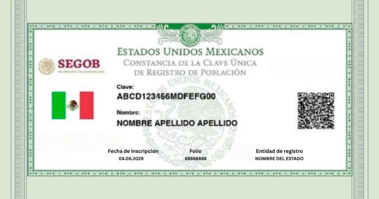 Cómo sacar constancia de RFC en México: Guía paso a paso - RFC Calcular